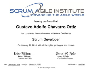 Scrum Developer Certificate | PDF