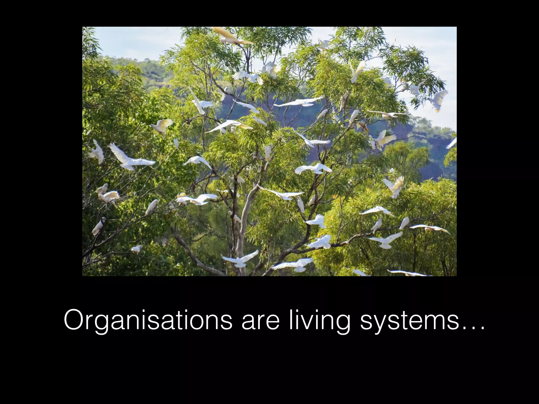 23ChangeThePerspectiveOnChange1 .pdf