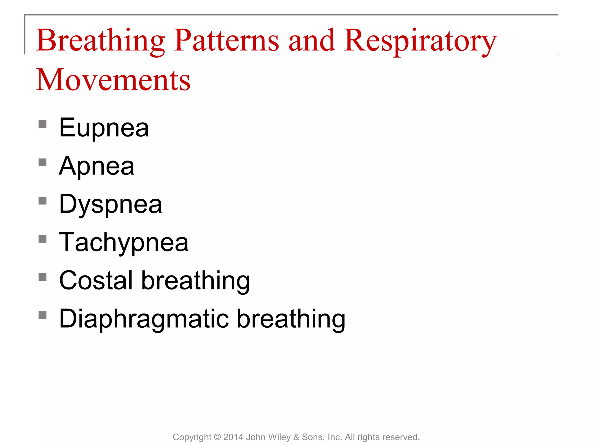 23 [chapter 23 the respiratory system] | PPT