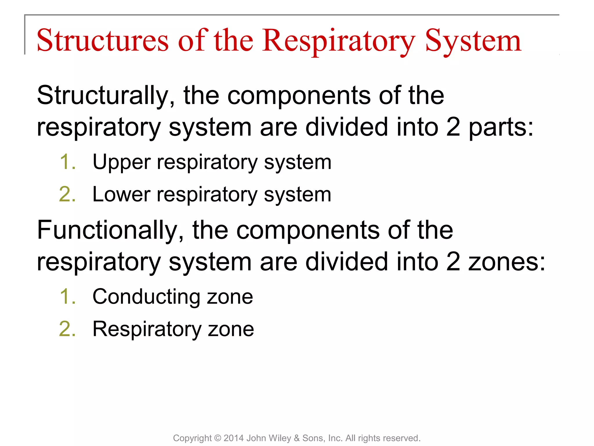 23 [chapter 23 the respiratory system] | PPT