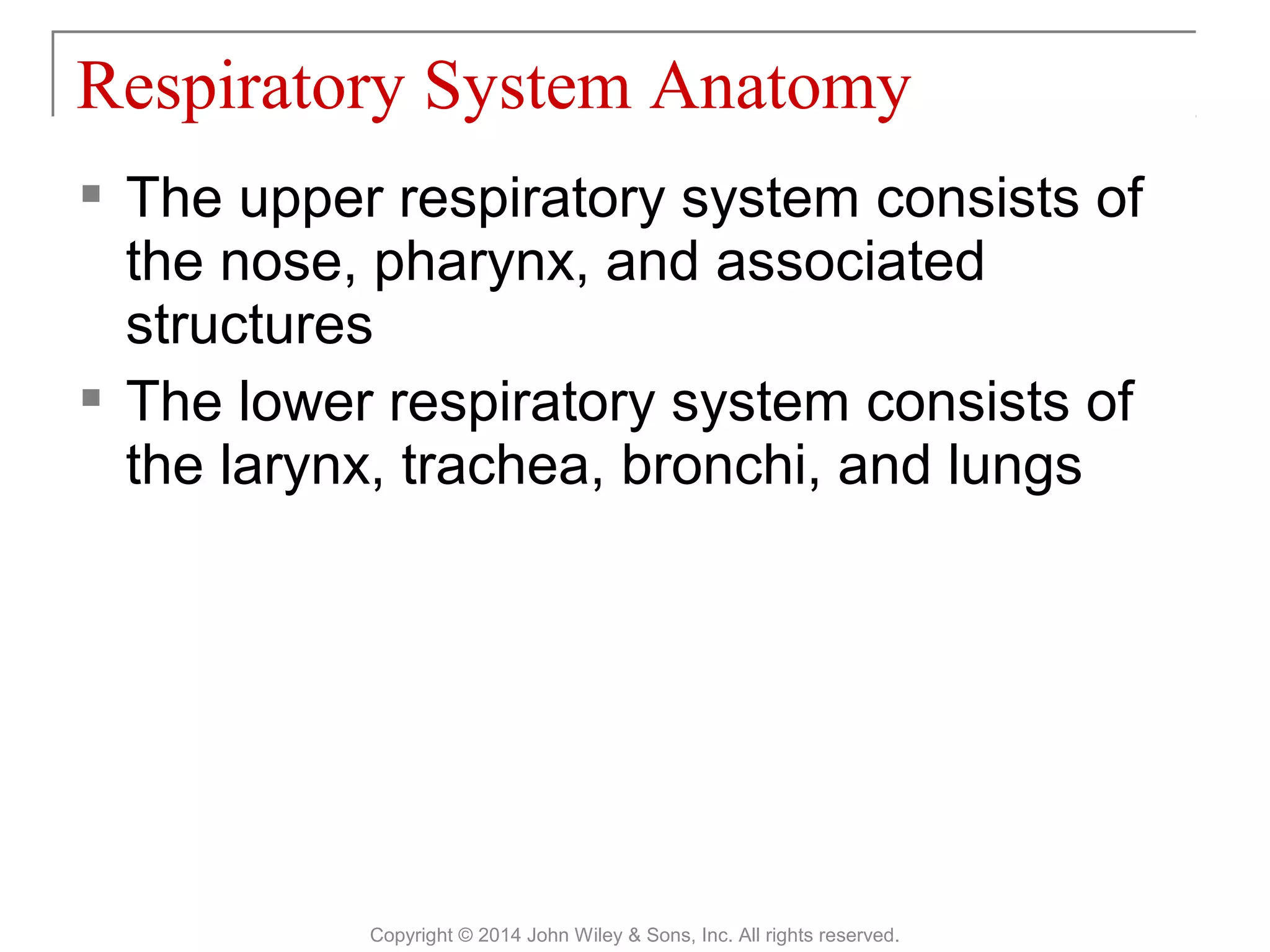 23 [chapter 23 the respiratory system] | PPT