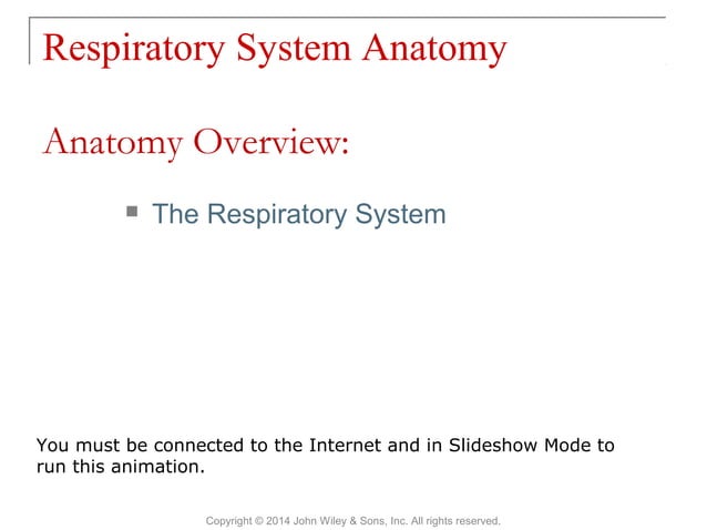 23 [chapter 23 the respiratory system] | PPT | Lung and Respiratory ...