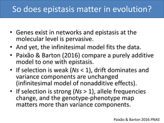 23_clark_missing_epistasis.pptx