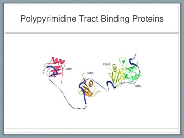 Research Presentation