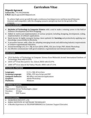 Dipesh_Btech(CS)_2014 | DOCX | Web Development | Internet