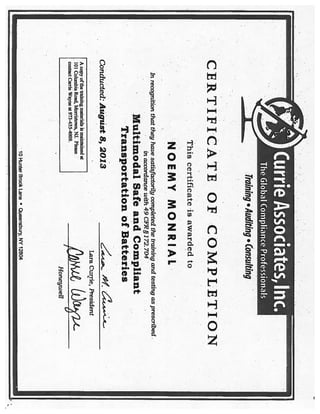 Currie Multimodal SCTB | PDF