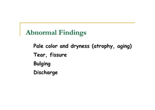 assessment of the female genitalia | PDF