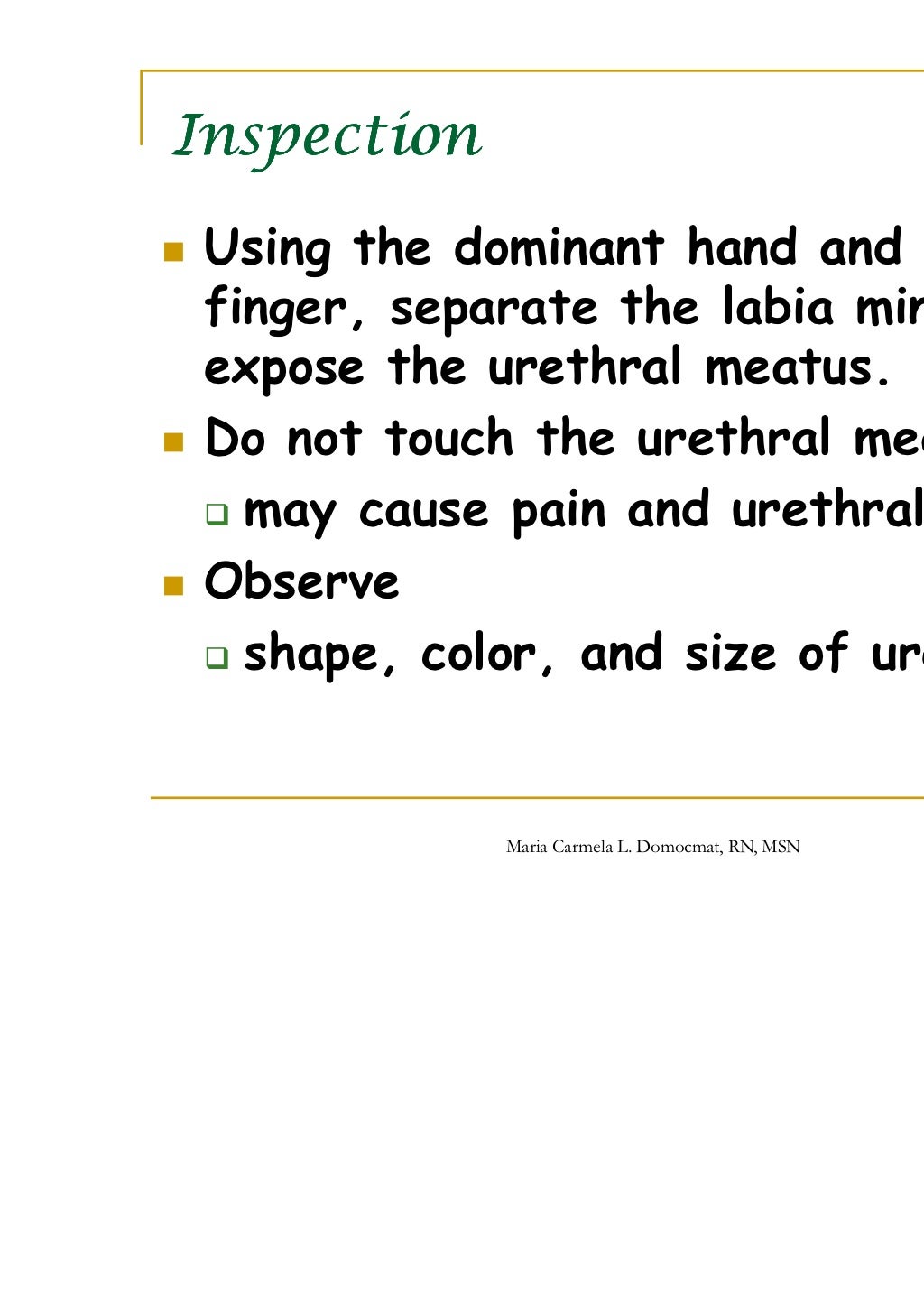 Assessment Of The Female Genitalia
