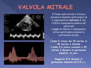 23 f ventriglia ecocardiografia funzionale | PDF