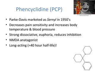 Neuropharmacology: Hallucinogens | PPT