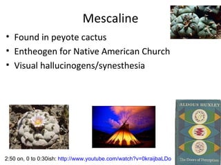 Neuropharmacology: Hallucinogens | PPT