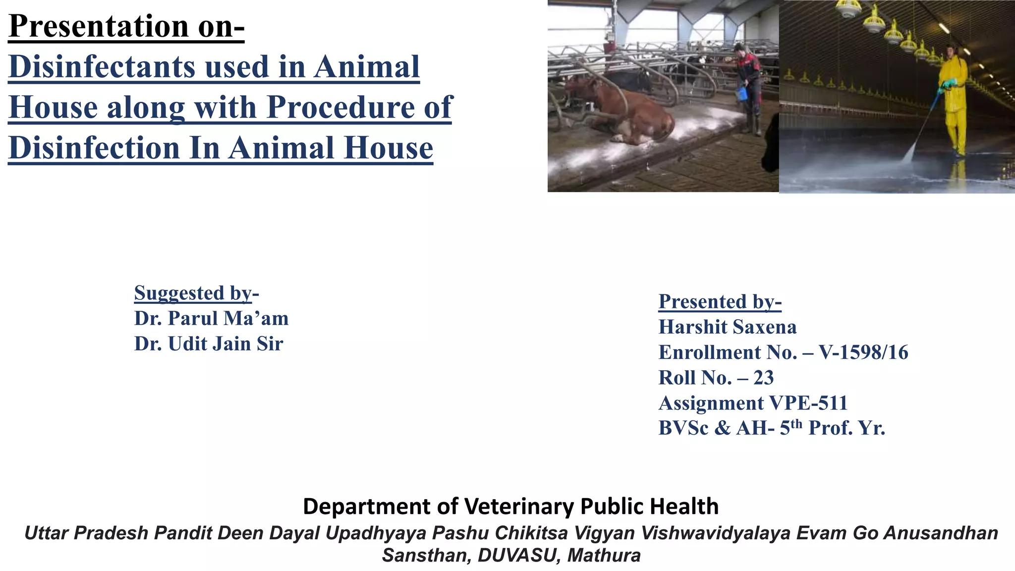 Disinfectants used in Animal House & process of disinfection | PPTX
