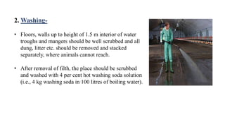 Disinfectants used in Animal House & process of disinfection | PPTX