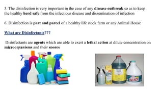 Disinfectants used in Animal House & process of disinfection | PPTX