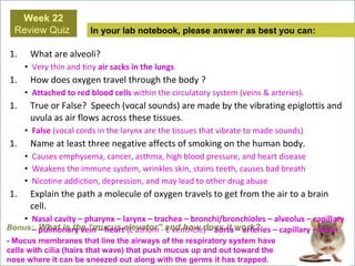 Immune and Endocrine Systems | PPT