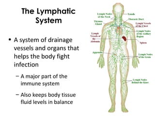 Immune and Endocrine Systems | PPT