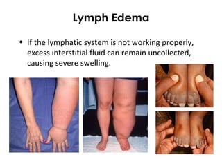 Immune and Endocrine Systems | PPT