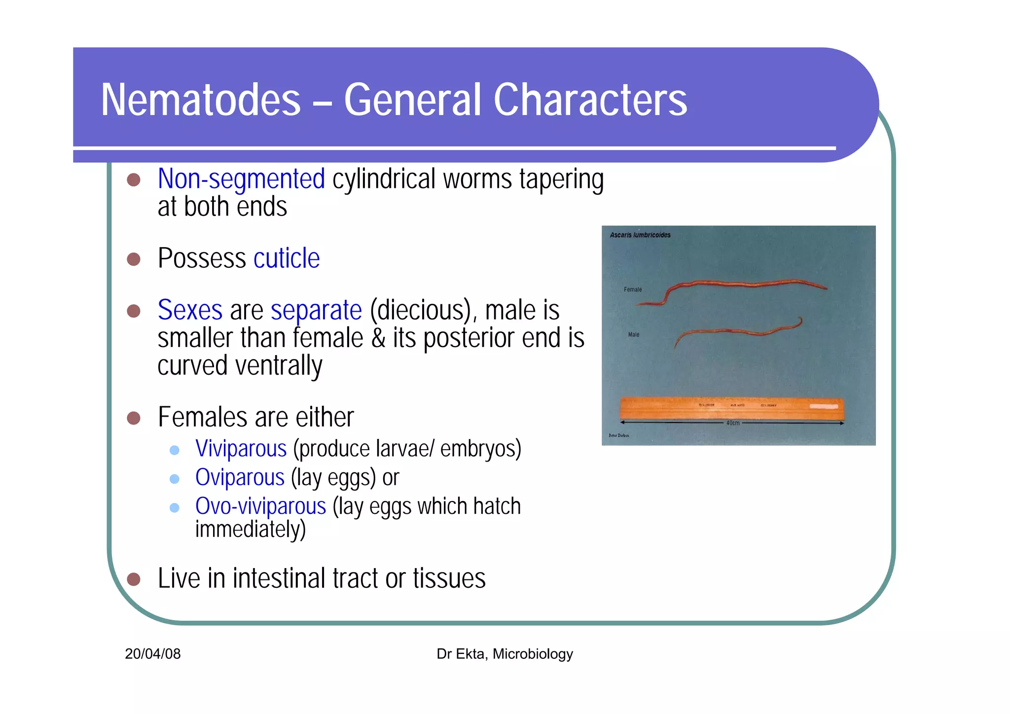 23 Intestinal Nematodes.pdf