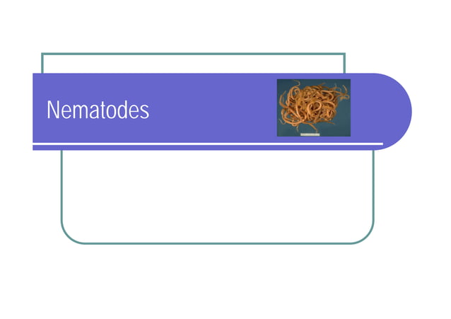 23 Intestinal Nematodes.pdf