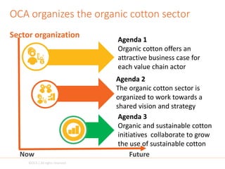 La experiencia de Organic Cotton Accelerator (OCA) para la conformación ...