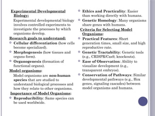 Model organisms in Experimental Developmental Biology UoH.pptx