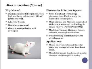 Model organisms in Experimental Developmental Biology UoH.pptx