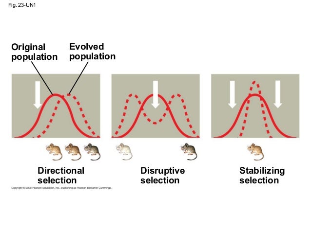 23lecturepresentation 100812184052-phpapp02