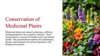 23MSB10034 ppt. Plant resource utilization and conservation.pptx