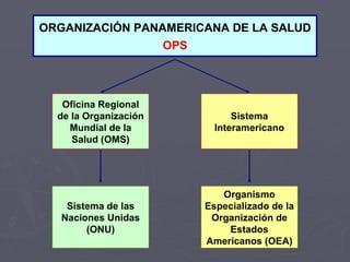 2 3 OrganizacióN Panamericana De La Salud | PPT