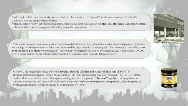 IPR-Traditional knowledge- Kani Tribe Case Study | PPTX