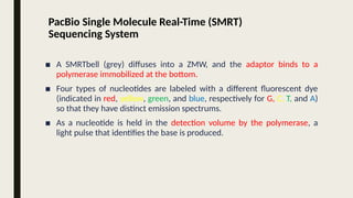 PACBIO SEQUENCING - PRINCIPLE, TYPES, APPLICATION, ADVANTAGE AND DISADVANTAGE | PPTX