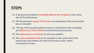PACBIO SEQUENCING - PRINCIPLE, TYPES, APPLICATION, ADVANTAGE AND ...
