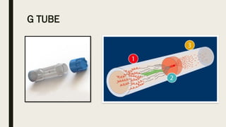 PACBIO SEQUENCING - PRINCIPLE, TYPES, APPLICATION, ADVANTAGE AND ...