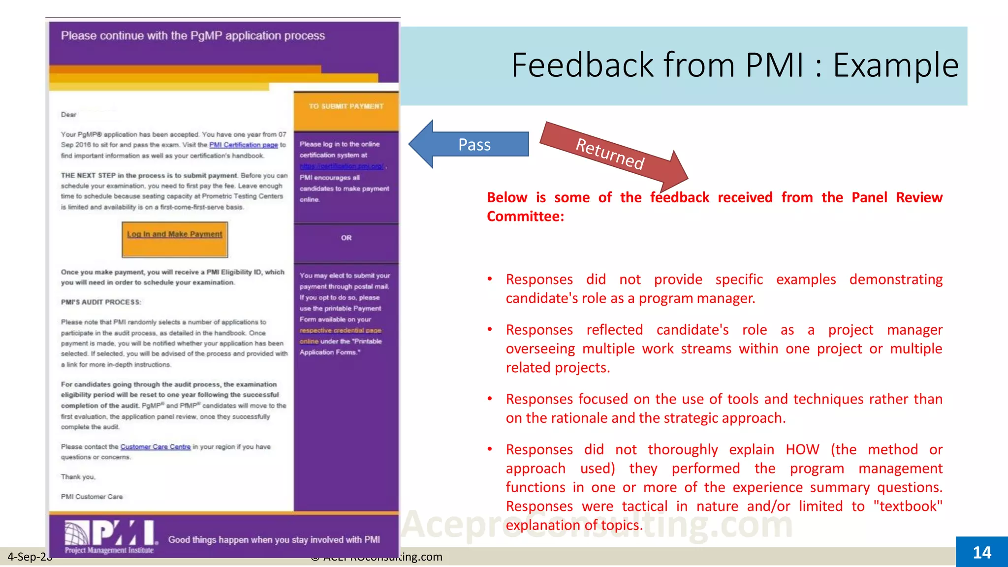 PMI-PgMP Application Development | PDF