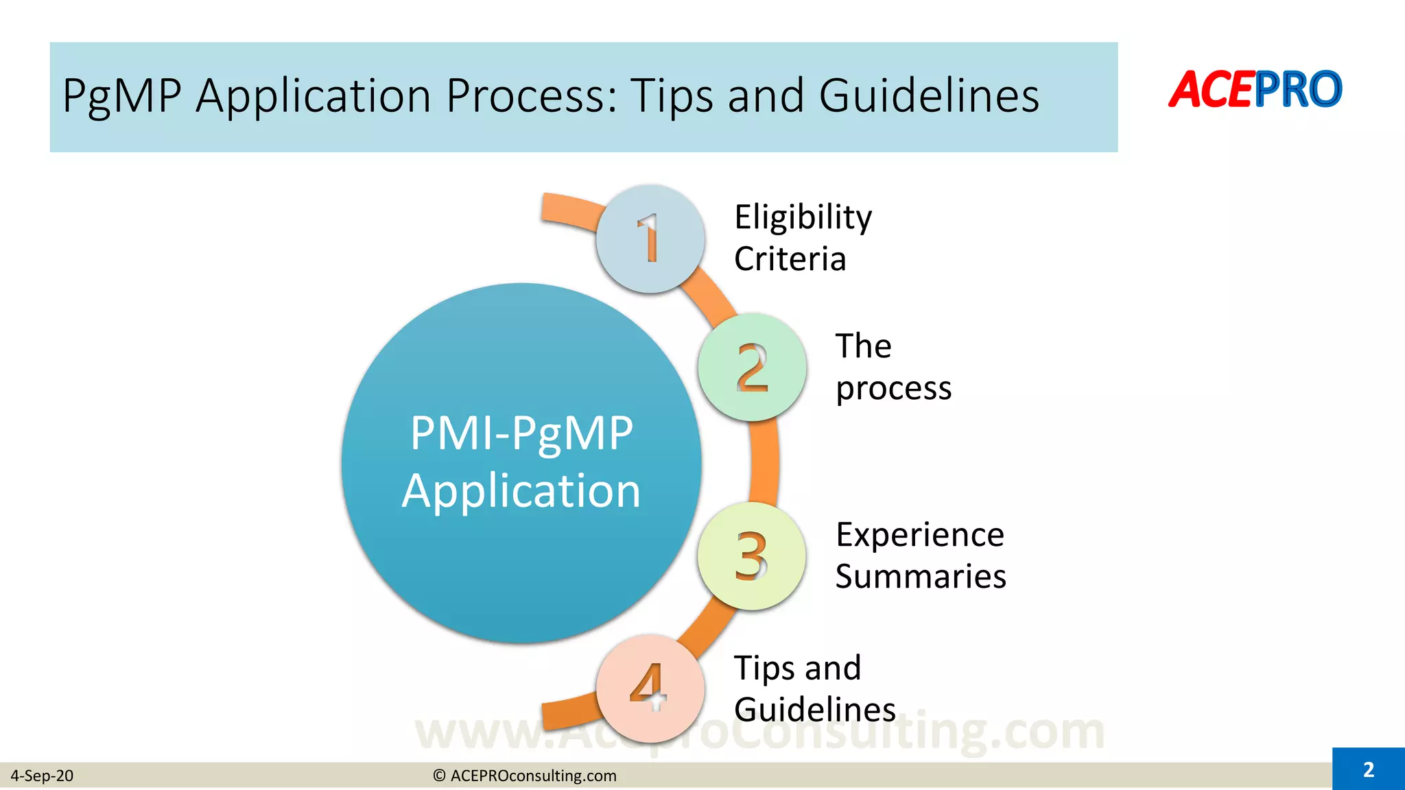 PMI-PgMP Application Development | PDF