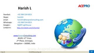 PMI-PgMP Application Development | PDF