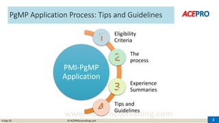 PMI-PgMP Application Development | PDF