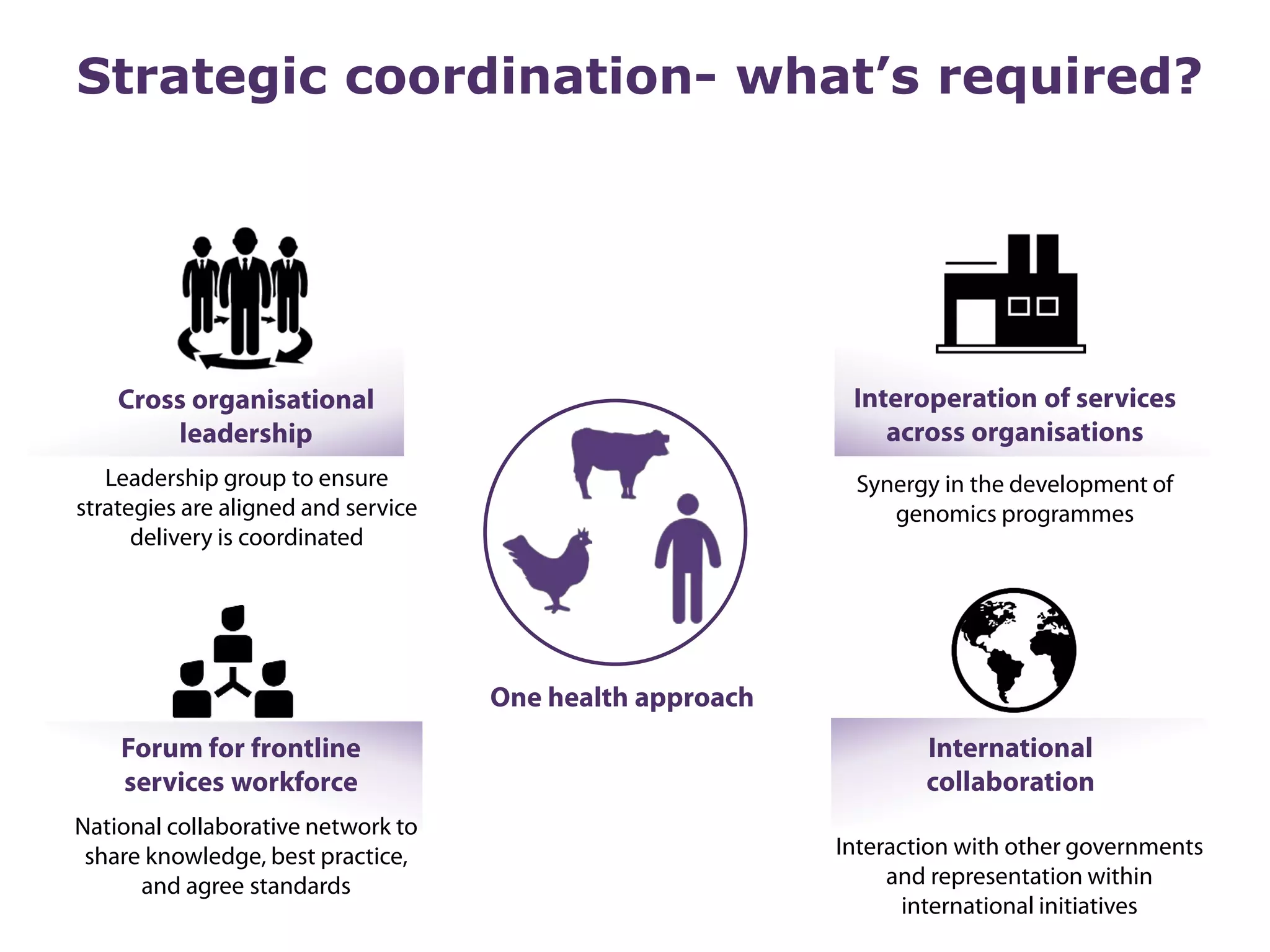 Developing a national strategy to bring pathogen genomics into practice | PDF