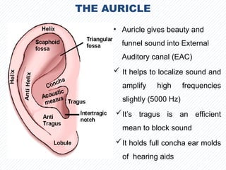 Ear, its functions and problems causing Deafness.pptx