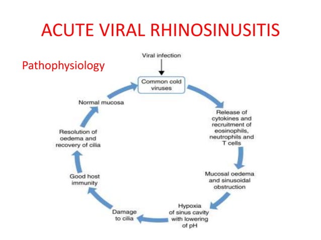ACUTE & CHRONIC RHINOSINUSITIS | PPTX | Ear, Nose and Throat Conditions | Diseases and Conditions