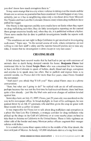 23 Risk Map for Journalists | PDF