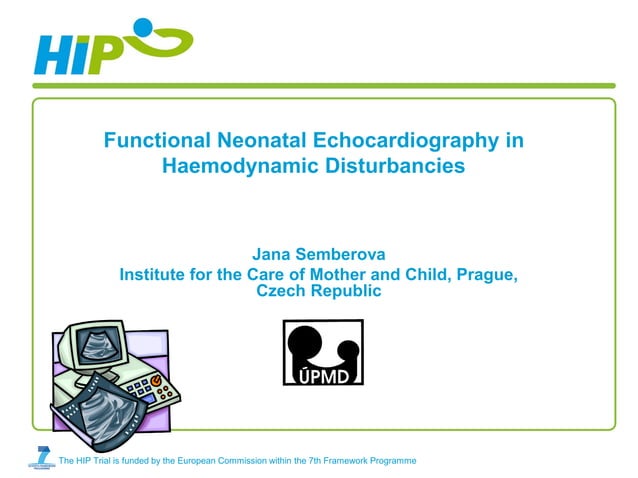 Functional Neonatal Echocardiography in Haemodynamic Disturbancies | PDF