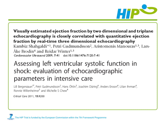 Functional Neonatal Echocardiography in Haemodynamic Disturbancies | PDF
