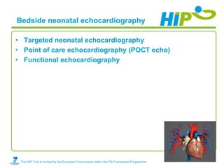 Functional Neonatal Echocardiography in Haemodynamic Disturbancies | PDF