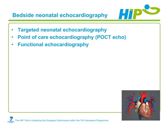 Functional Neonatal Echocardiography in Haemodynamic Disturbancies | PDF