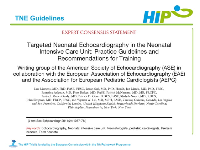 Functional Neonatal Echocardiography in Haemodynamic Disturbancies | PDF