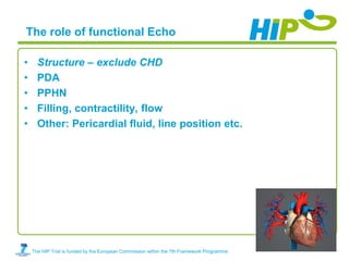 Functional Neonatal Echocardiography in Haemodynamic Disturbancies | PDF