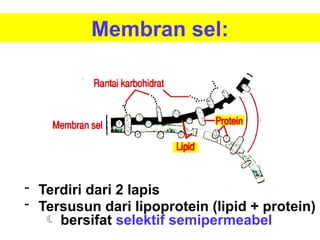 presentasi mengenai sitologi tumbuhan.ppt