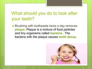 23 teeth and food guide pyramid | PPTX