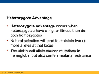 Heterozygote Advantage Sickle Cell Anemia